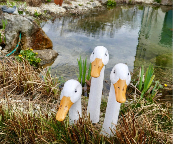 Best seller – Goose & Company